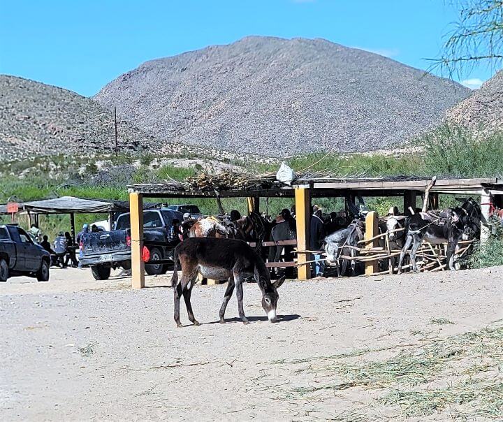 Boquillas Mexico Day Trip: How To Visit This Hidden Gem From Big Bend