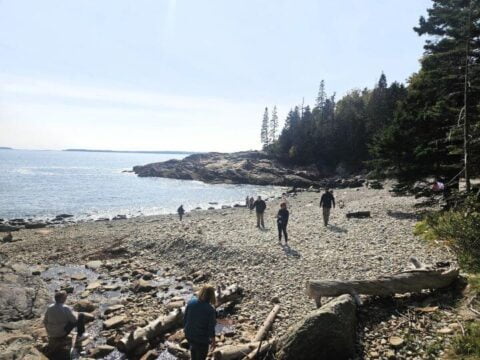 23 Captivating Beaches In Acadia National Park 2023